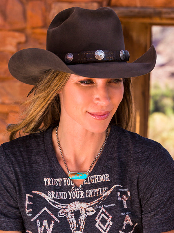 Cowgirl Nickles Band – Brit West